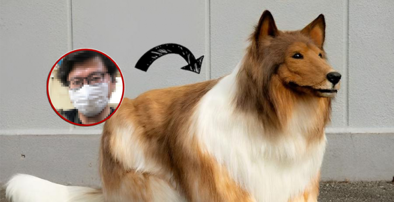 Japanese Man Dog Costume Transformation - The HyperHive