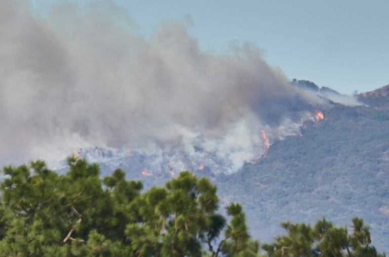 Suspect Arrested in Connection to Devastating Palisades Fire - The HyperHive